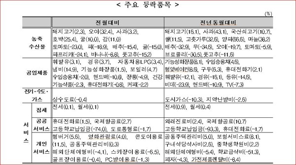 올해 연간 소비자물가지수 0.5%상승...통계작성 이후 첫 2년 연속 0%대