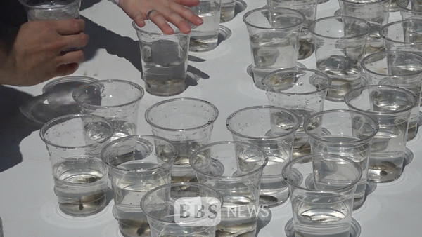 서울 봉은사 사부대중, 담양 용흥사서 '백중 방생 대법회'